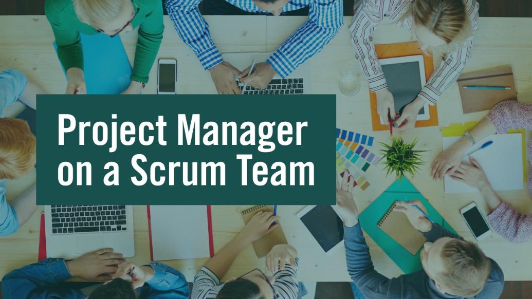 FREE - Project Manager on a Scrum Team - Maximum Value, Minimum ...
